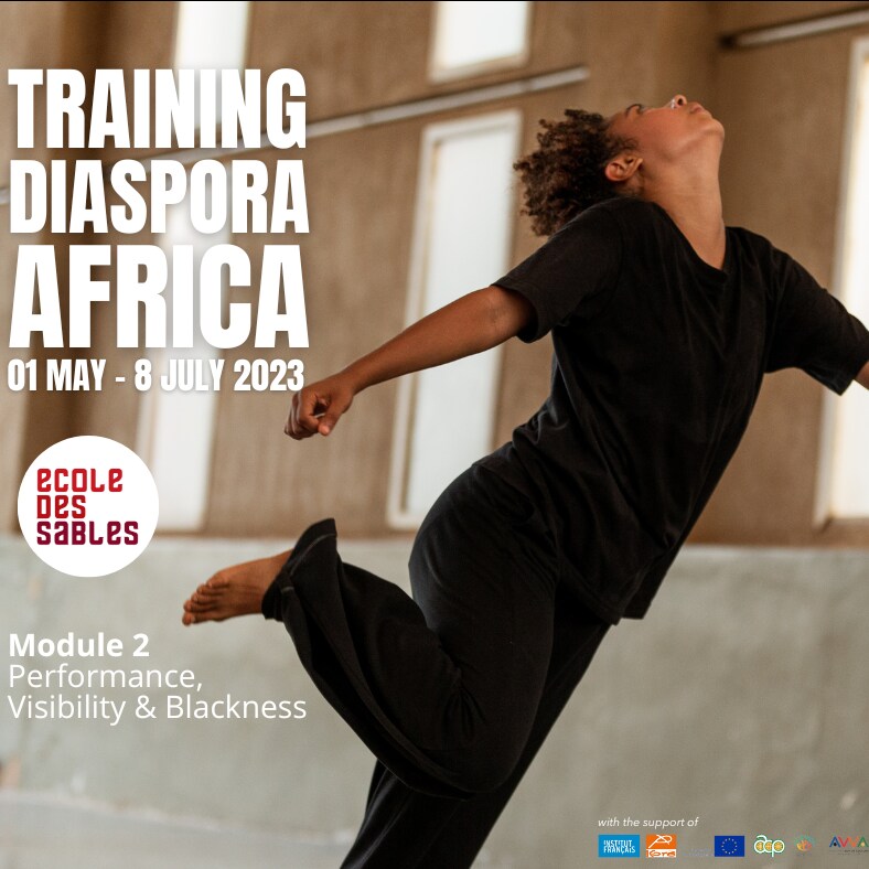 Training Diaspora Africa | Module 2 - Residency